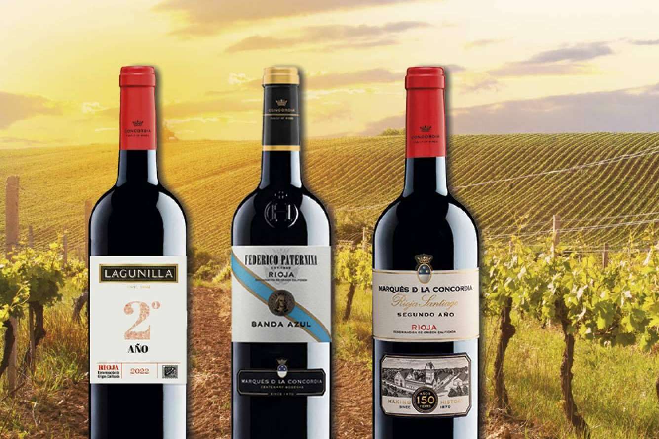 Conocer los vinos de segundo año de Marqués de la Concordia Family of ...
